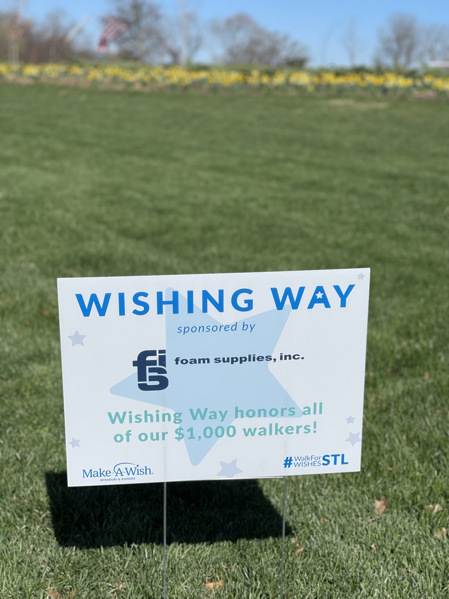 Sustainable Polyurethane Solutions | FSI - Global Polyurethane Systems ...