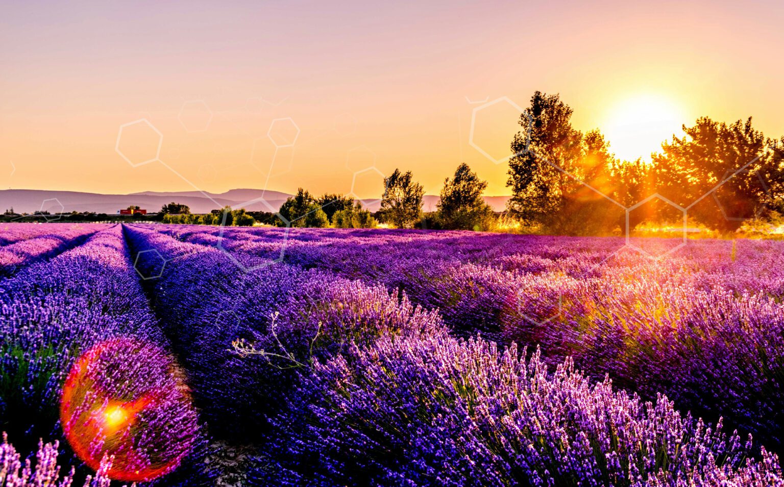 FSI - Global Polyurethane Systems House | Sustainable PU Solutions